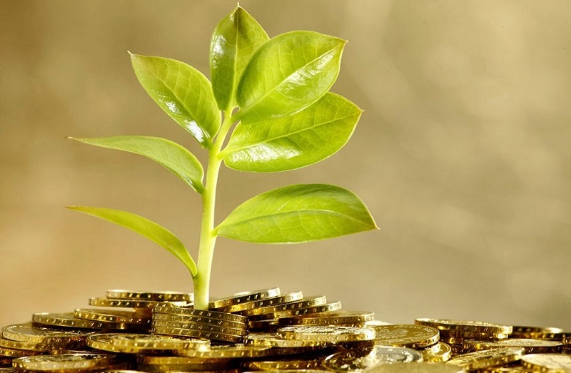 THE MALLESWARAM CO-OPERATIVE BANK LTD